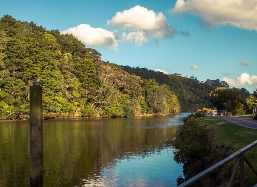 Funerals and Tributes - besoul Funerals